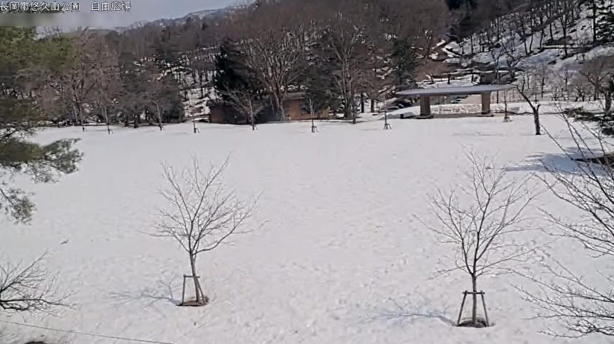 佐賀県鳥栖市 | ライブカメラDB