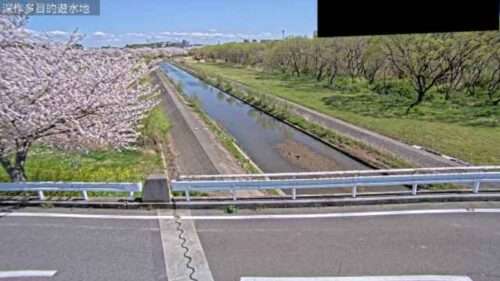 深作川深作多目的遊水地ライブカメラ(埼玉県さいたま市見沼区深作) | ライブカメラDB