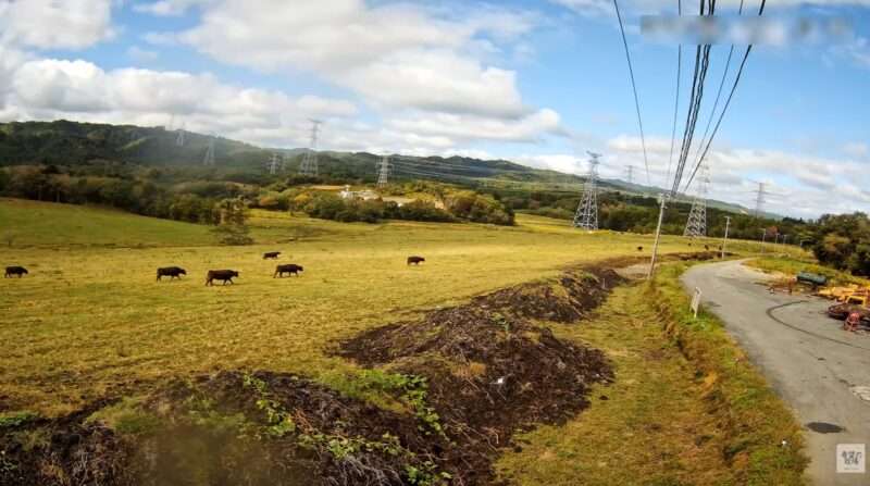 希望の牧場放牧地右側ライブカメラ(福島県浪江町立野) | ライブカメラDB